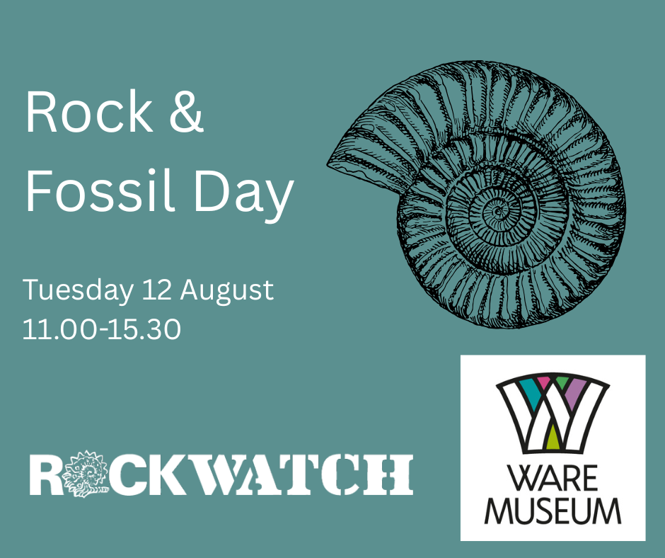 Rock & Fossil Day - Ware Museum